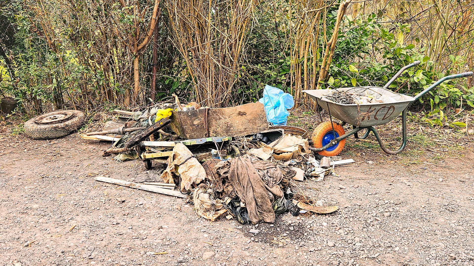 Stadtputztag 2025 - Kanu-Club Delphin Siegburg 1958 e.V.
